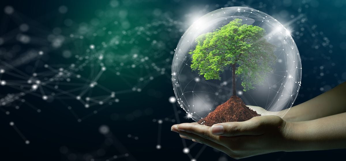 Discovering Green IT: An Introduction to Tech Sustainability - BCS Develop Store